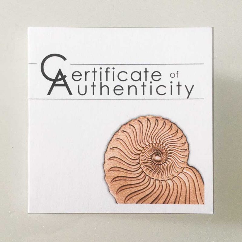 GOLDEN AMMONITE 2019 Palau 0.5g minigold coin