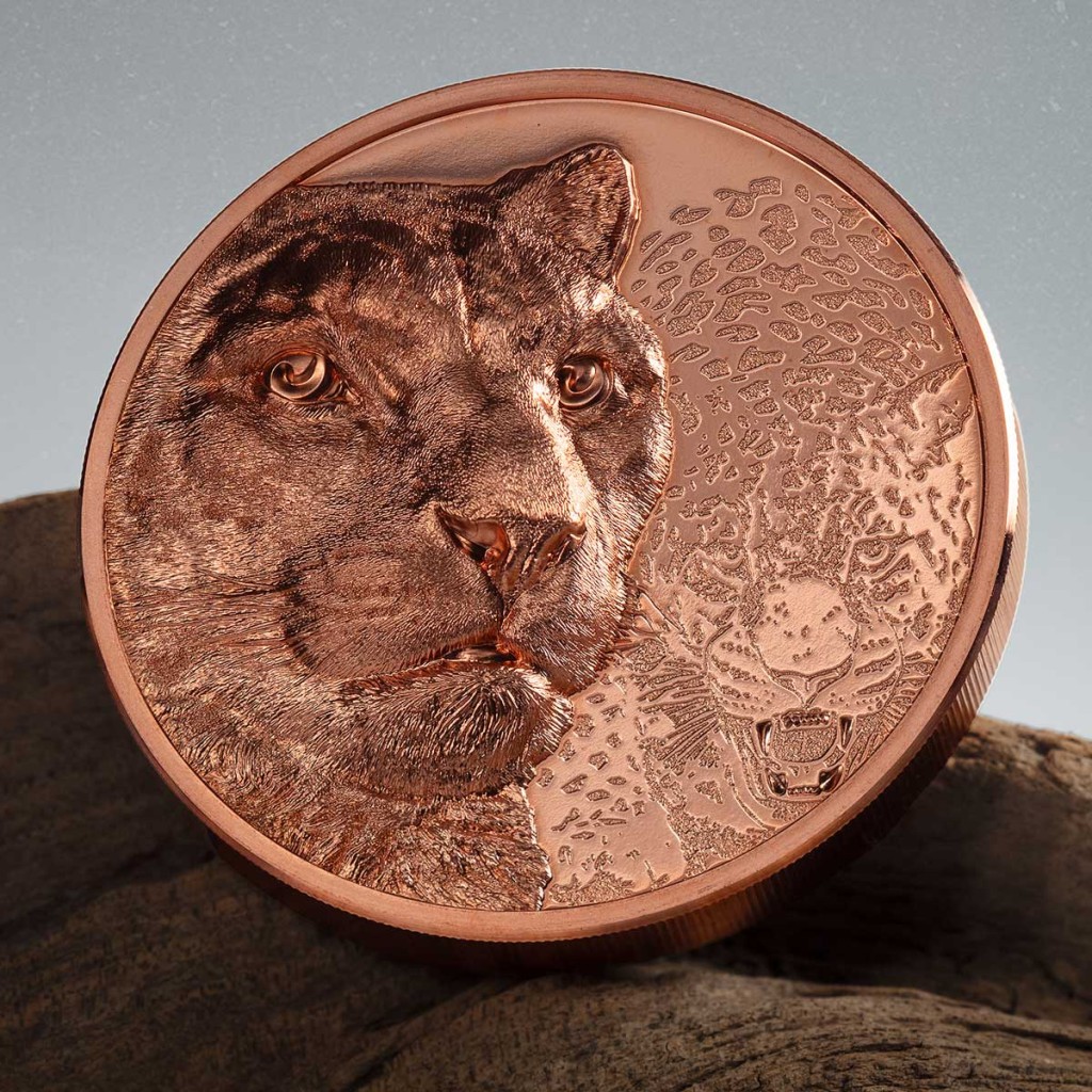 WILD MONGOLIA - SNOW LEOPARD 2024 Mongolia 50g copper coin